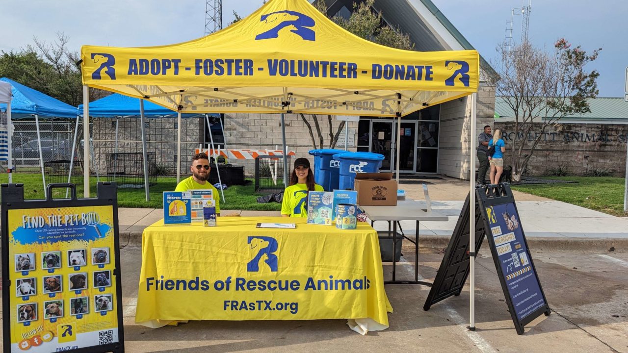 Volunteer - Friends of Rescue Animals
